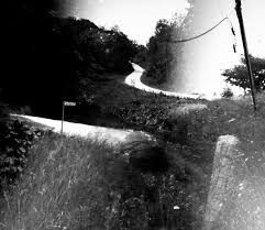 Steve Irvine | Musa Fotografia